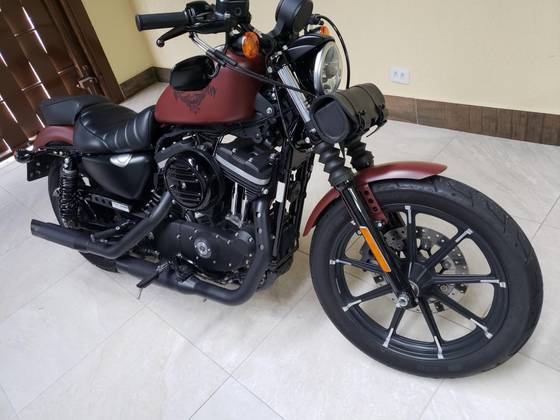 Motos Harley-Davidson Sportster Iron 883 | Webmotors